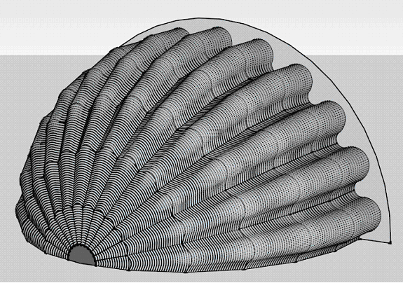 Sketchup for Interior Design: How to create a shell niche