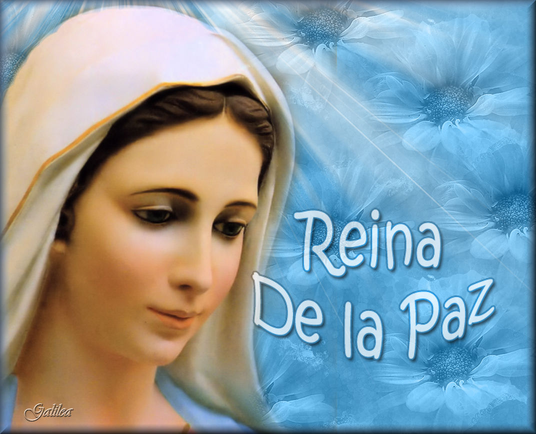 Santa María, Madre de Dios y Madre nuestra: Reina de la Paz