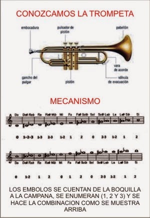 Tutorial como tocar trompeta
