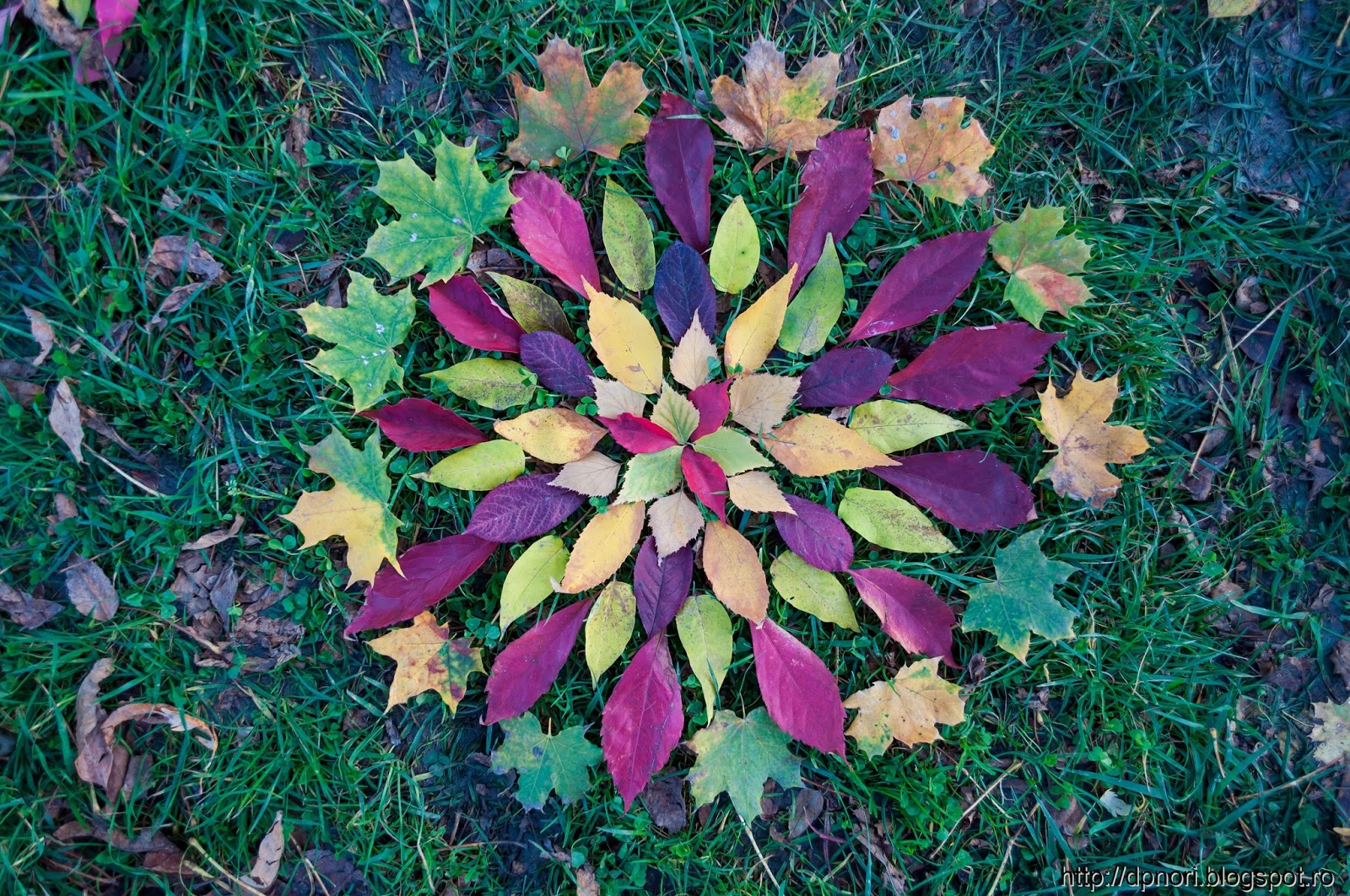 .printre nori: Mandala din frunze de toamna