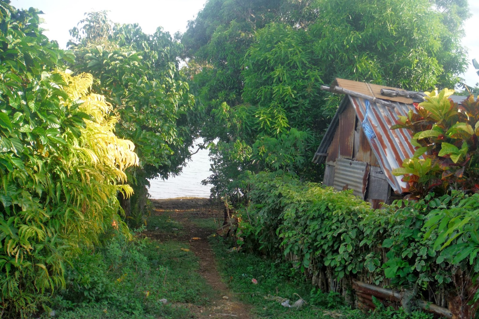 Testimonies from Tonga: TONGAN HOUSES