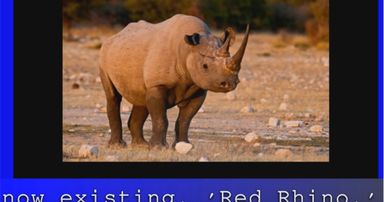 Manda Animali: "Rinoceronte Rosso"?