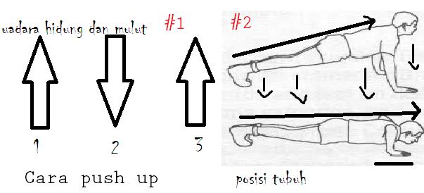 PUSH UP yang baik dan benar | Kokoreang