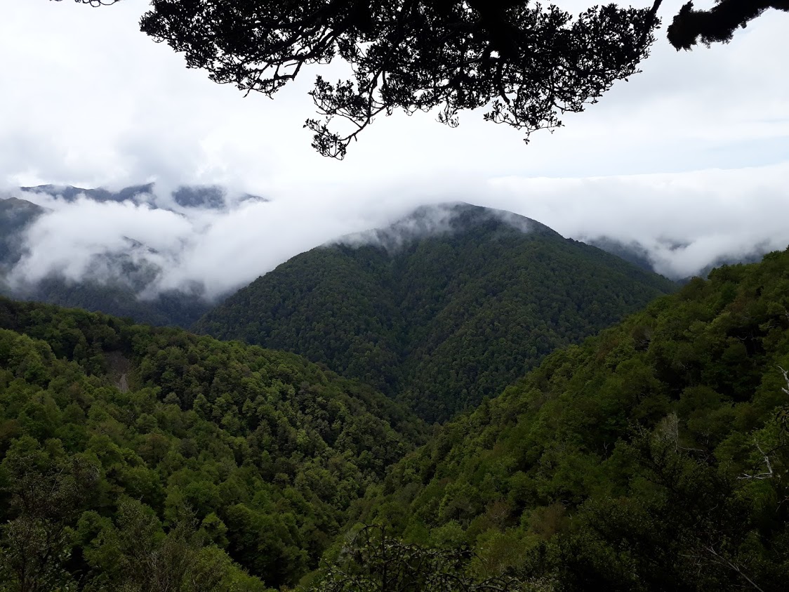 Ruahine Street Ramblers: Triangle Hut