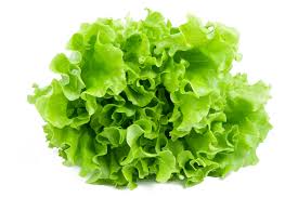 LETTUCE VEGETABLE (Efo Yarin)