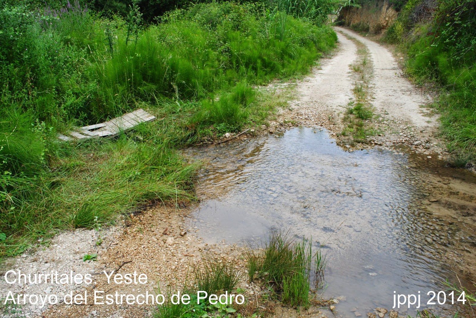 Yeste. Albacete. Paisajes: 2014