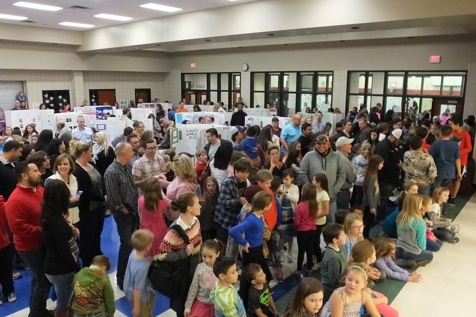 Kyle, Texas Daily Photo: Science Fair