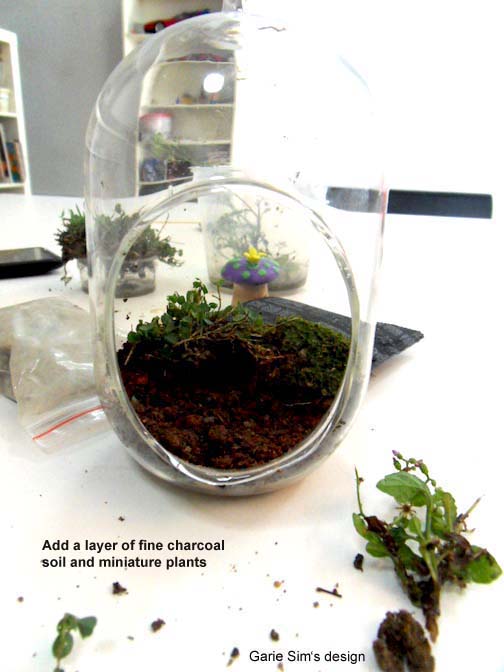 Garie's Polymer Clay Shop: One Day Project: Garie's Terrarium Glass ...
