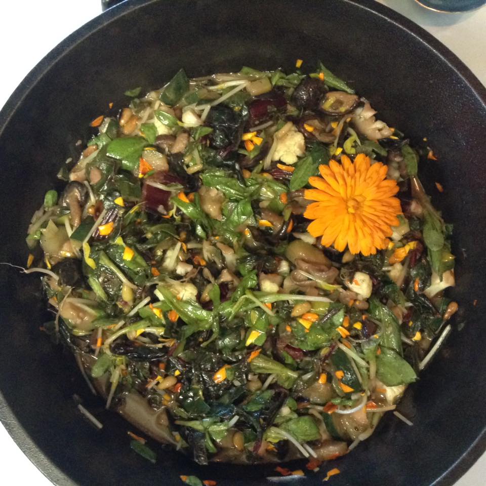 Nourishing Herbs: Calendula, The Cheerful Healer
