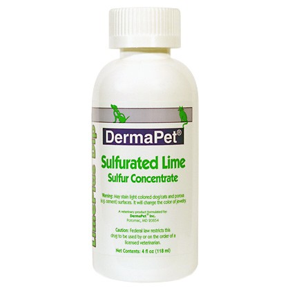 Some Facts about Flea Dips for Dogs and Cats ~ Online Pet Supplies