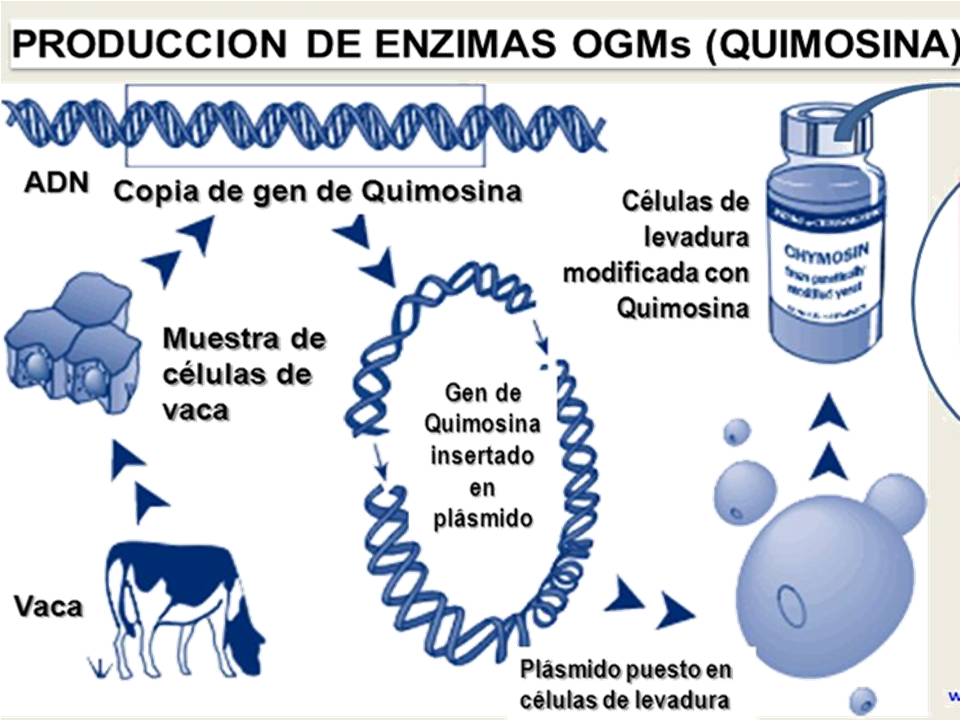 estreptociencia: diciembre 2016