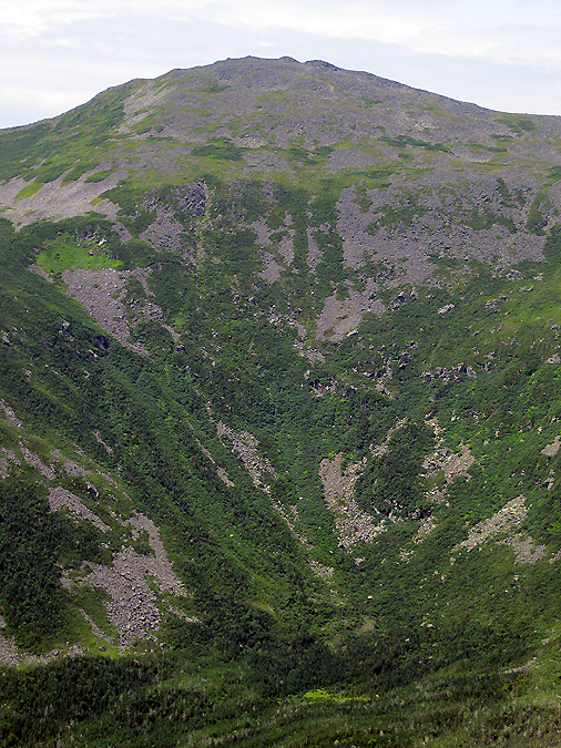 Hiking in the White Mountains: The Abandoned Adams Slide Trail