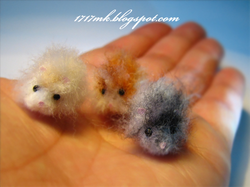 17-17 Miniatury: Najmniejsze świnki morskie ;) The smallest guinea pigs