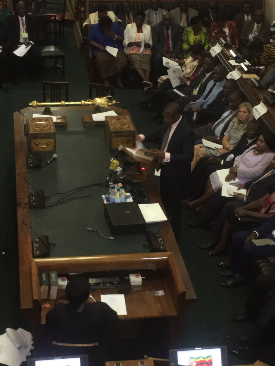 BUDGET LIVE | Mafaro