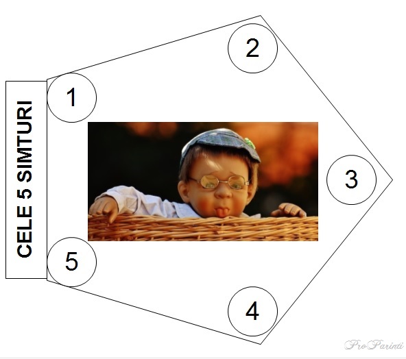 proParinti: Carticica pentagon ”Cele 5 simturi” - personalizata