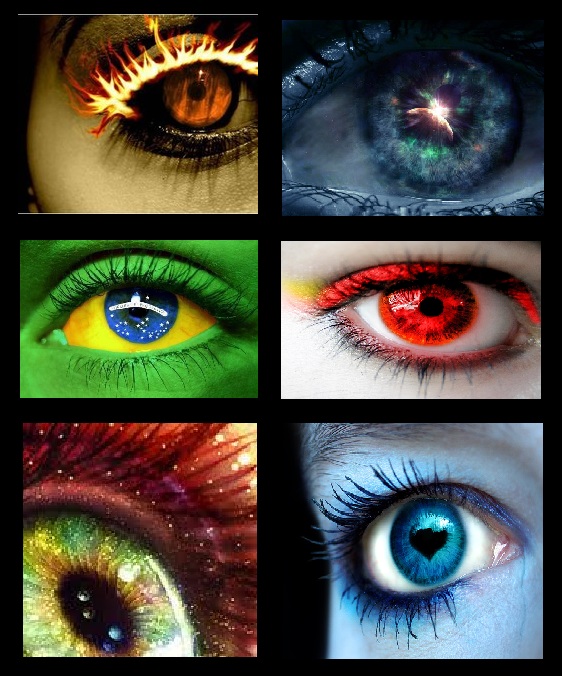 musings from the marsh...: The Eyes Have It...