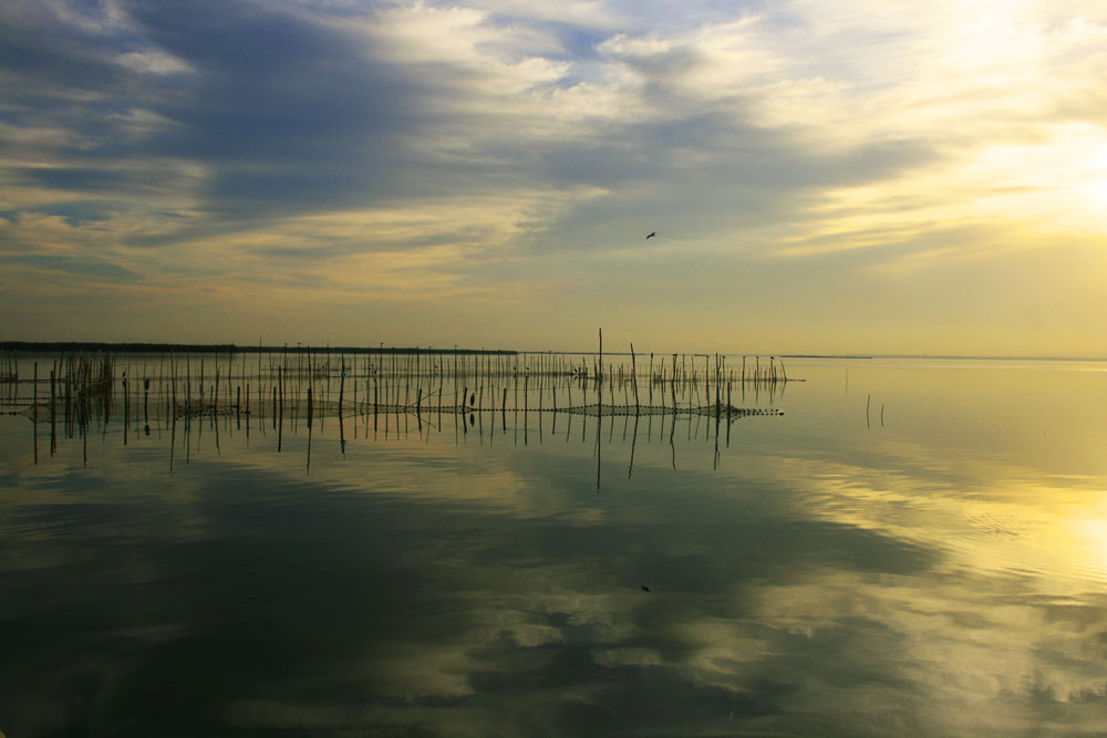 el blogero viajero: La Albufera