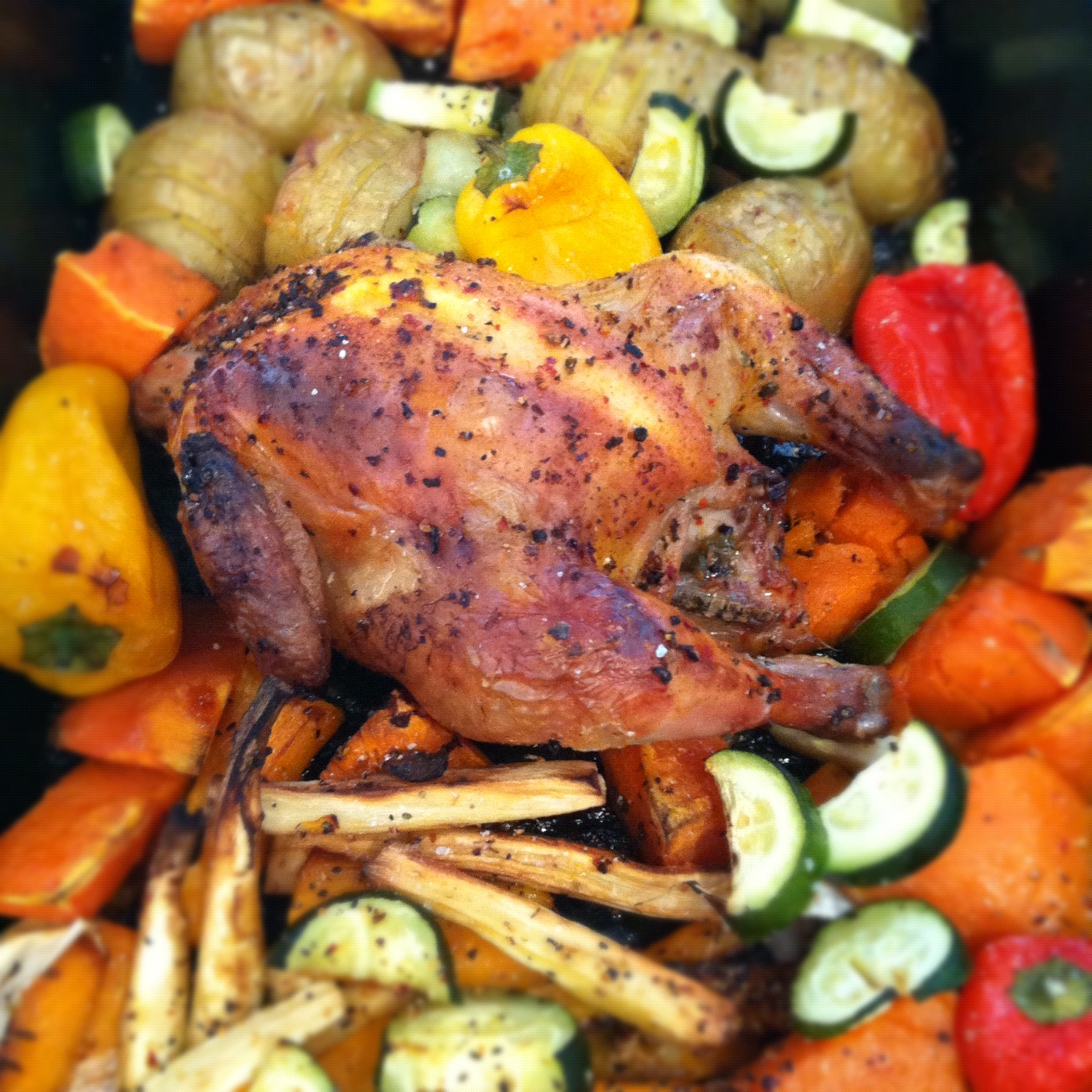 LoveBites: A Roast Chook