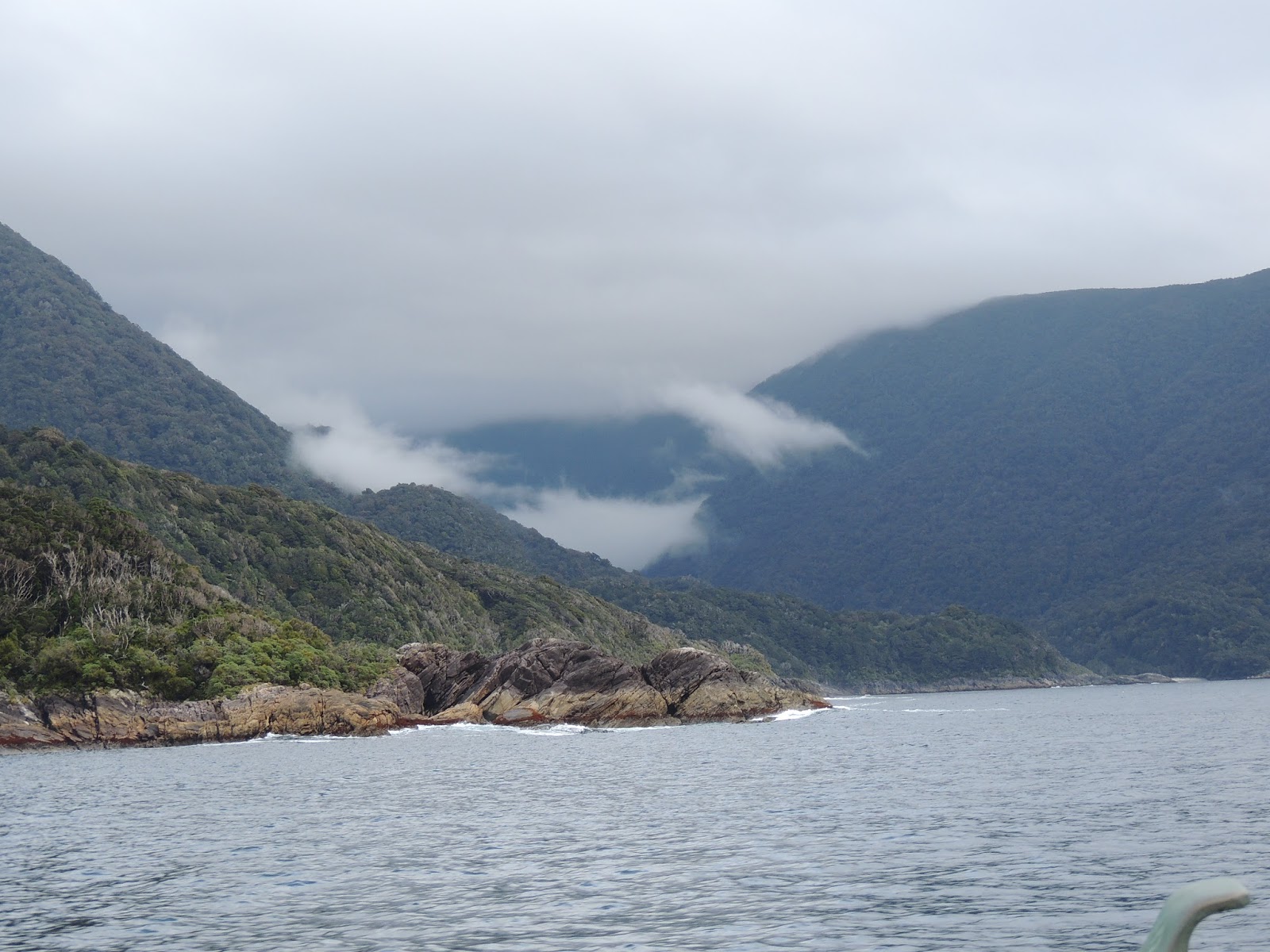 THE ROAD TAKEN : Doubtful Sound via Fiordland Expeditions