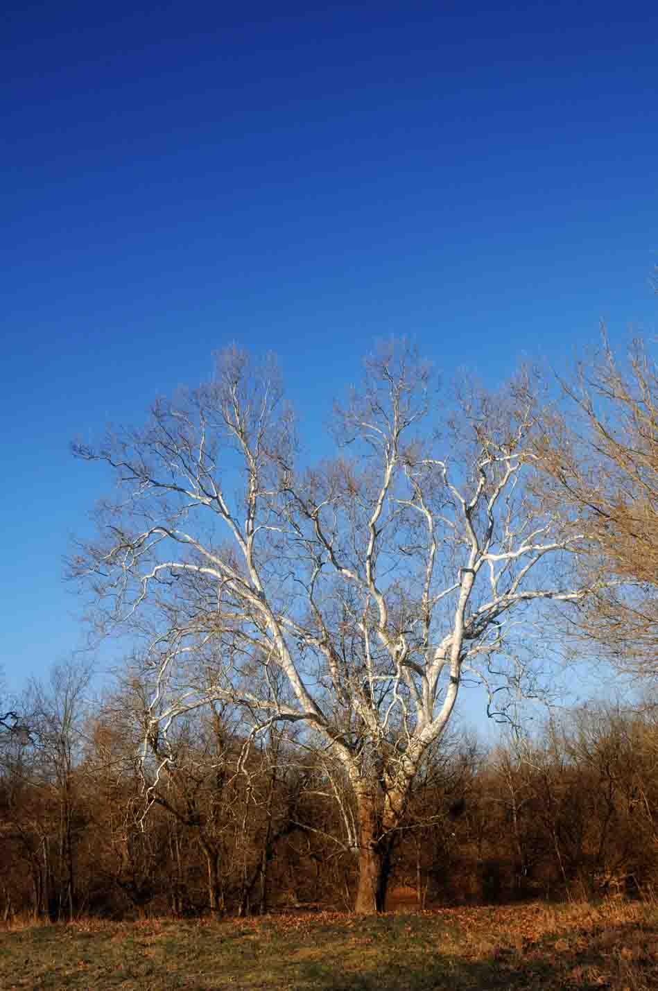 Punkin's Patch: February 2012