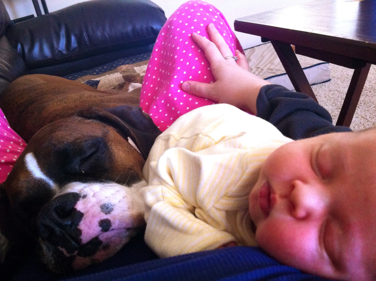 teach me to braid: lullaby and goodnight