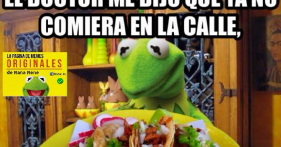Memes de la rana rene: 6 Memes De La Rana Rene que no te puedes perder