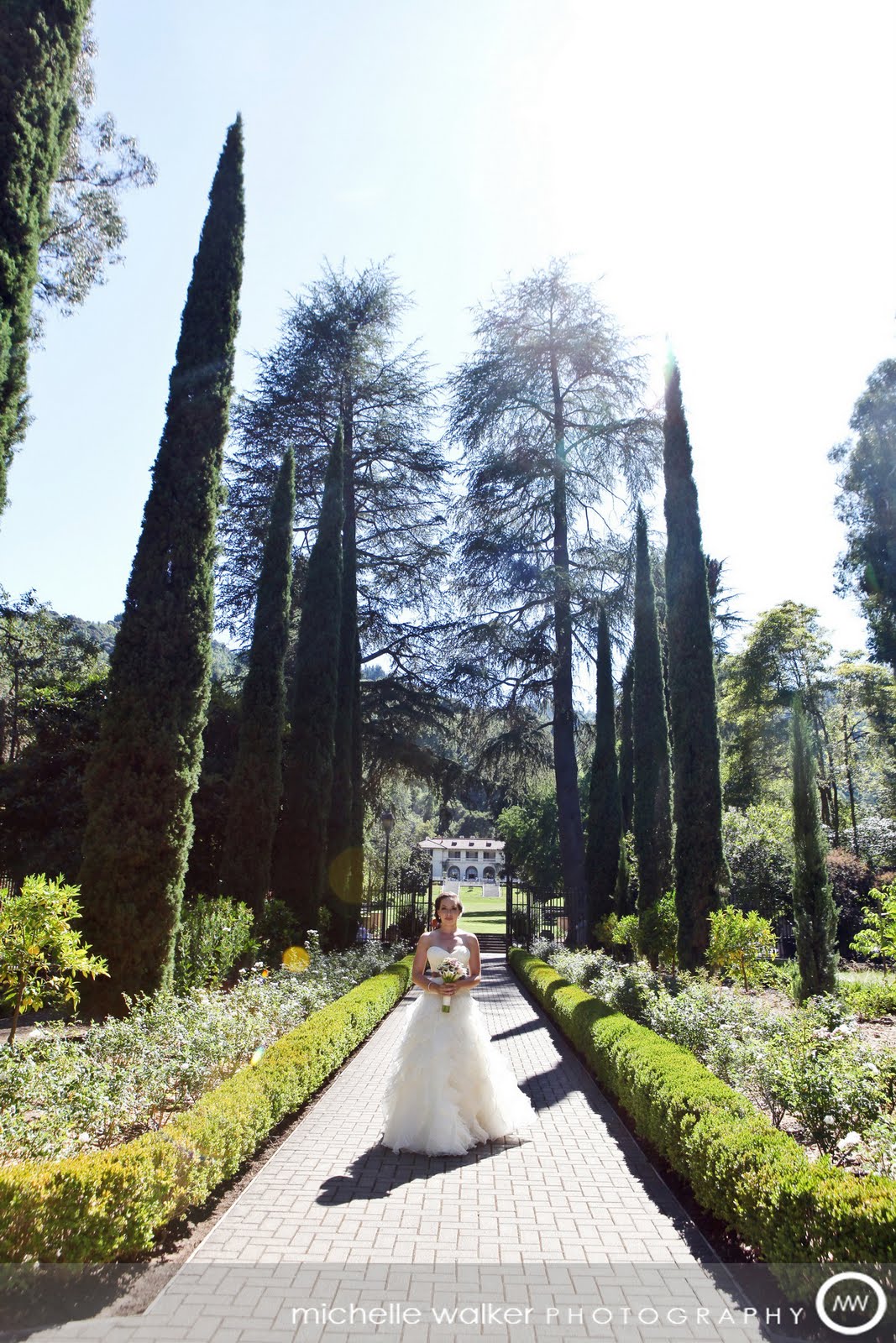 CarOline & Jay at Villa Montalvo! | Michelle Walker Photography