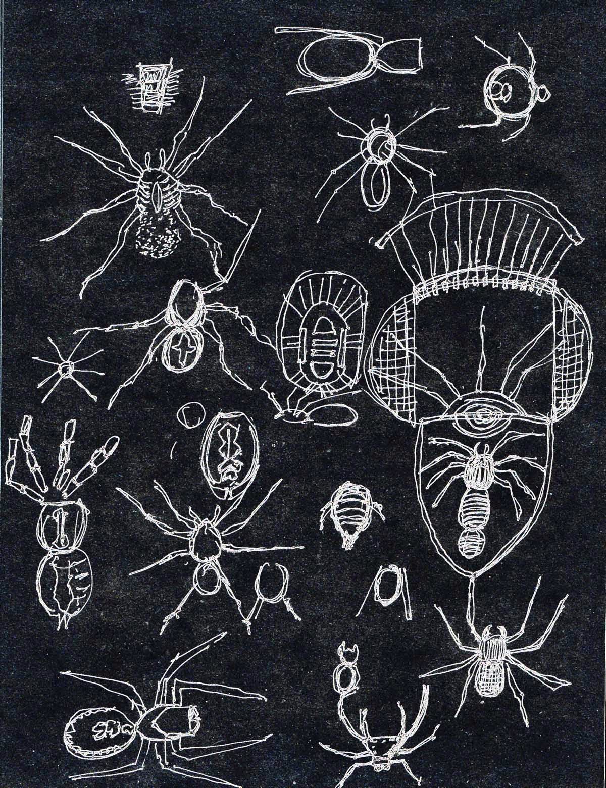 Start from Scratch: Spiders