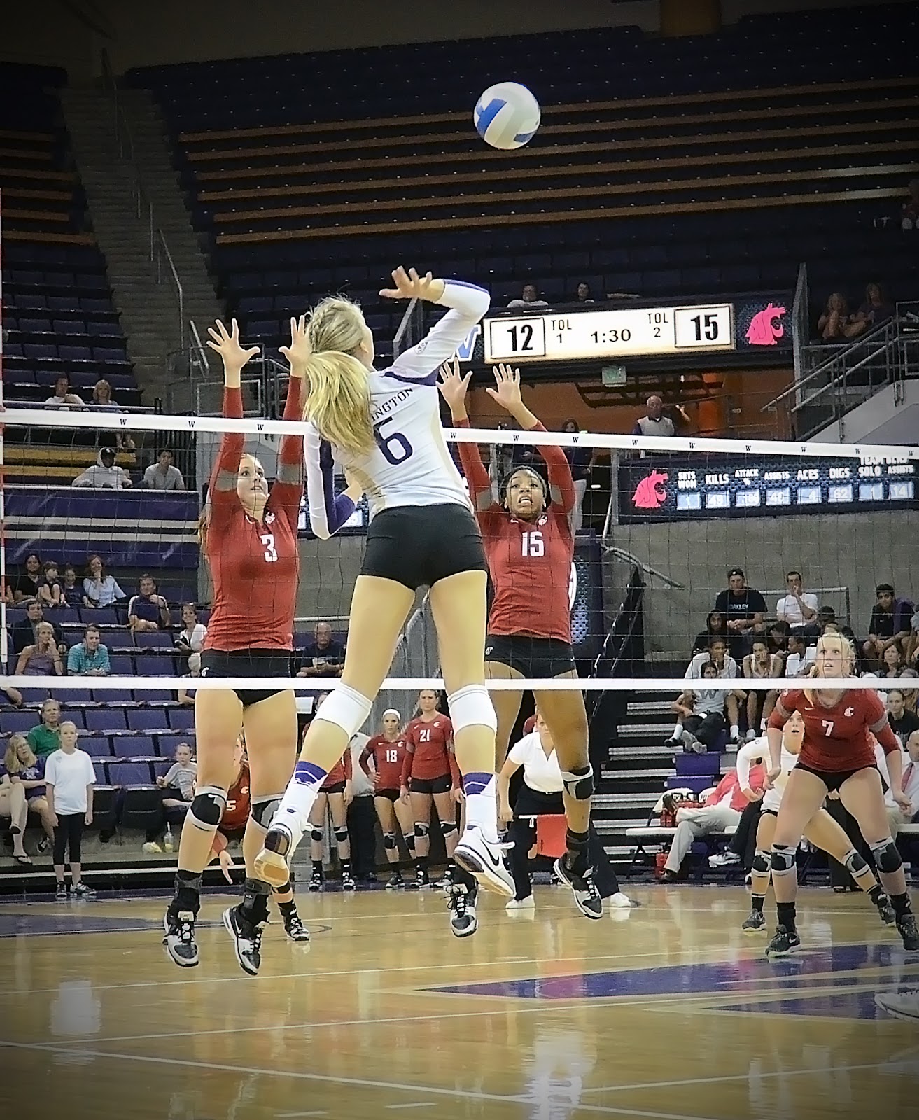 Volleyblog Seattle: Pac-12 | What we learned from Washington’s win over ...
