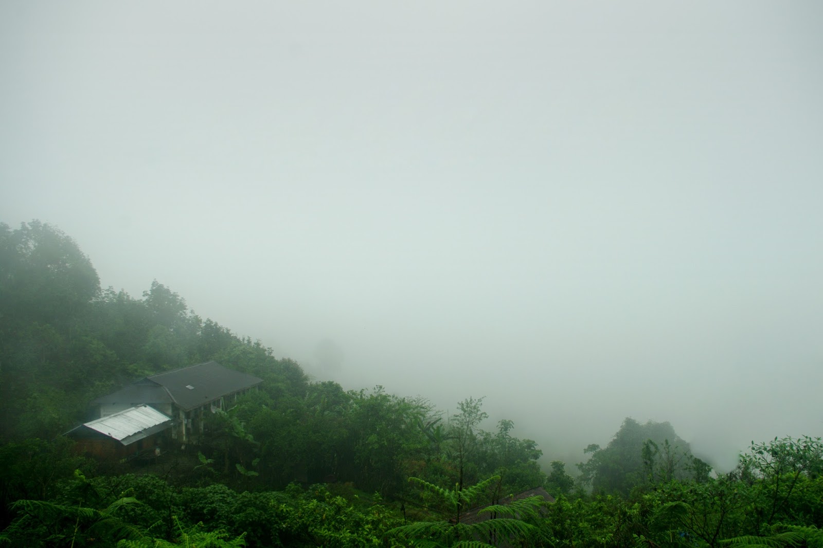 17 Days in Arunachal Pradesh