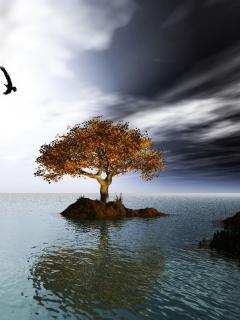 240x320 Nature Wallpapers Part-II | Mobile Wallpapers | Download Free ...