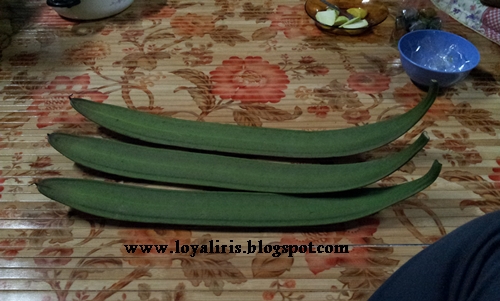 ~ Life is pleasant ~: Tiada Gunanya Kau Nak Pandang Belakang...