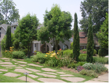 Home & Garden Design, Inc.: Transform your holly bushes