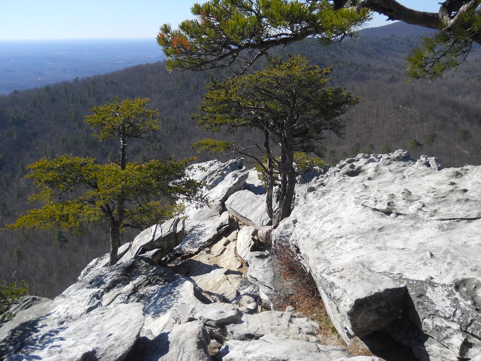 Andean Trekker: Cache #2000 @ Hanging Rock State Park, NC