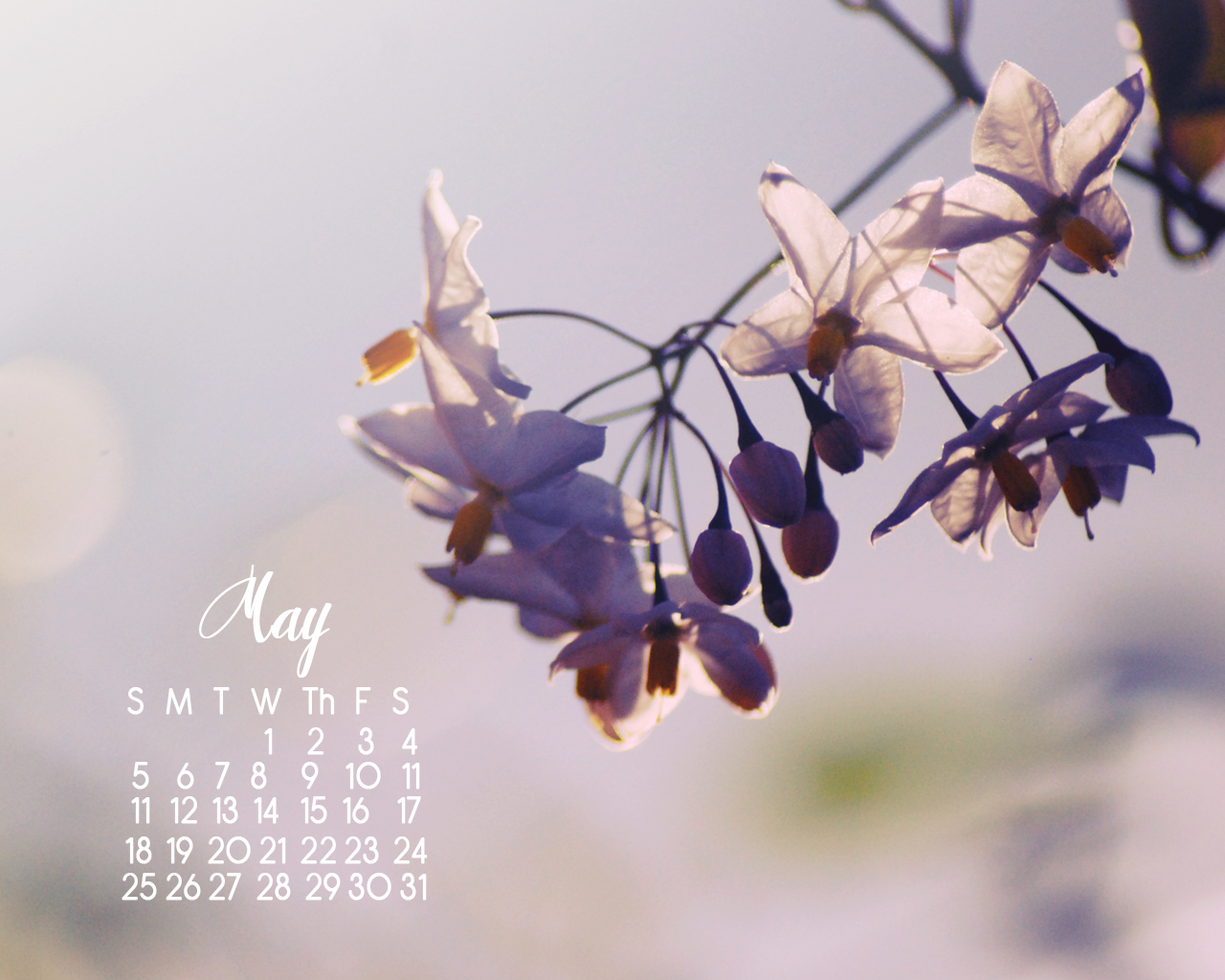 Welcome May + May Desktop Calendar - www.danettedillon.com