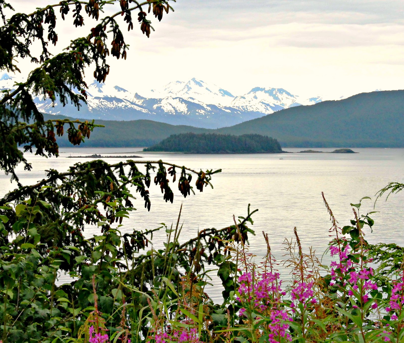 Sandra's Alaska Photography: Mid-July 2012: An Afternoon "Out the Road ...