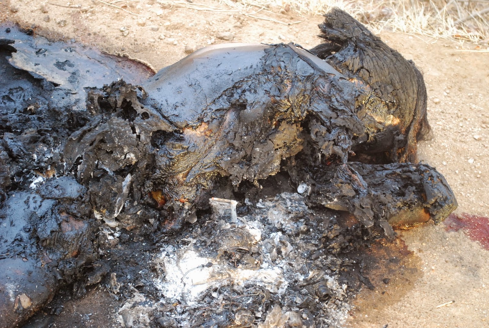 ESPAÇO LIVRE: Imagens Fortes Corpo carbonizado encontrado em Groairas