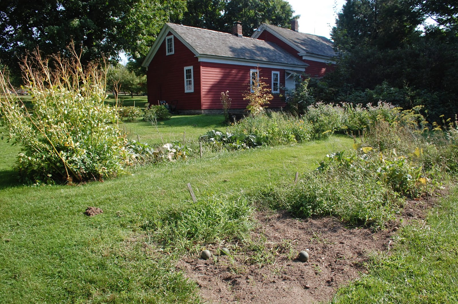 Sprouts: The Wilder Homestead Heritage Gardens Part 1