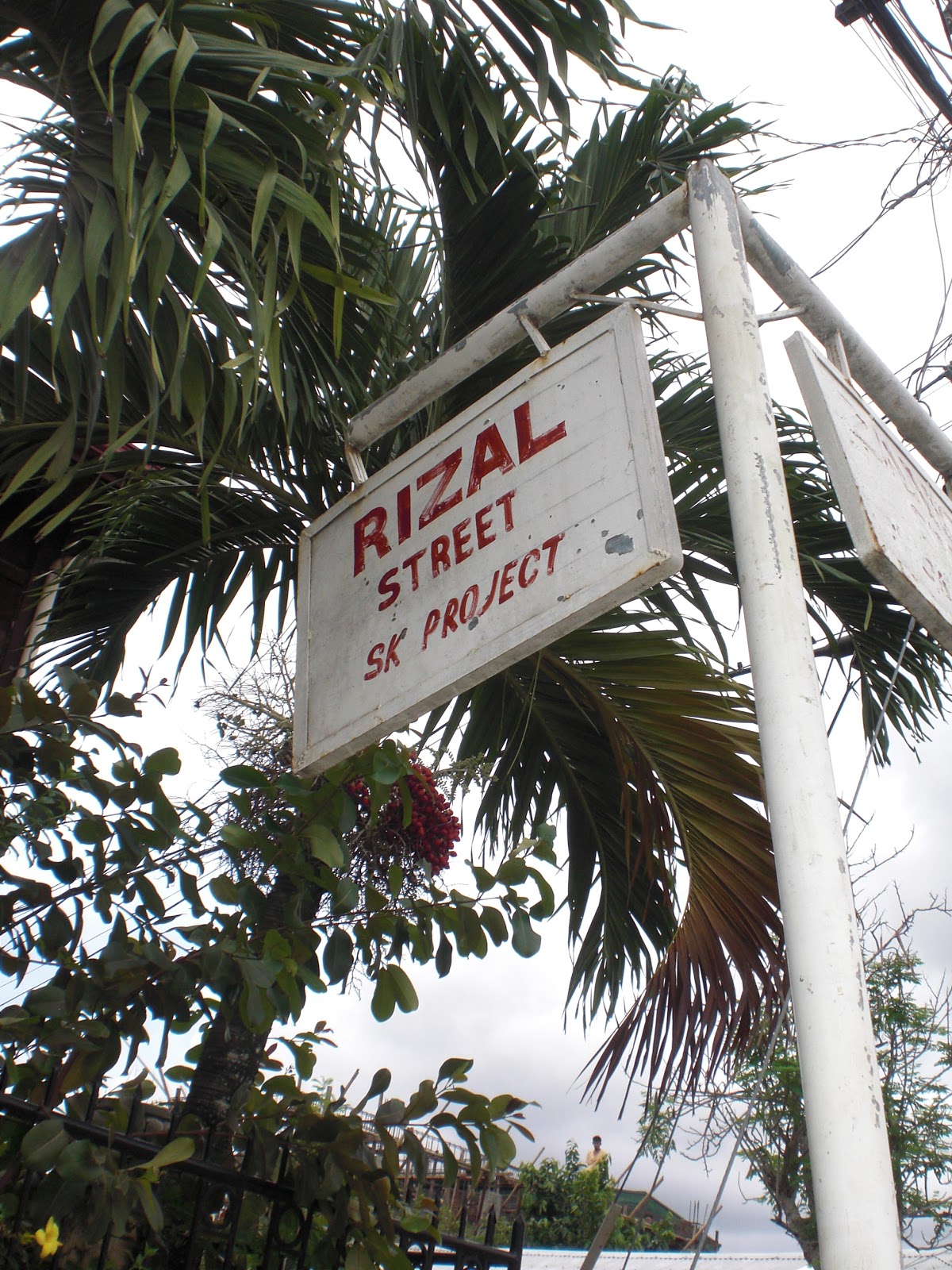 Princess Sol Diaries: Manuel Roxas Ancestral House