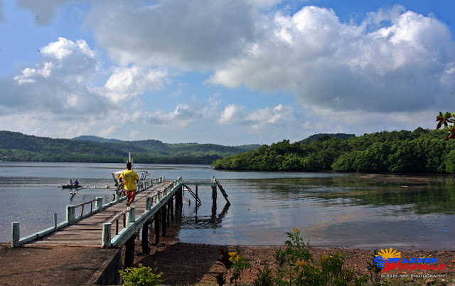 Calauit Game Preserve and Widlife Sanctuary of Palawan: The African ...