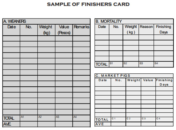 Pig Production: Activities in the Pig Farm