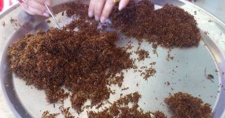 Yellow ant salt – Specialty strangers from lands of Kon Tum