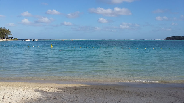 Go with Henry: Stunning Blue Bay Marine park