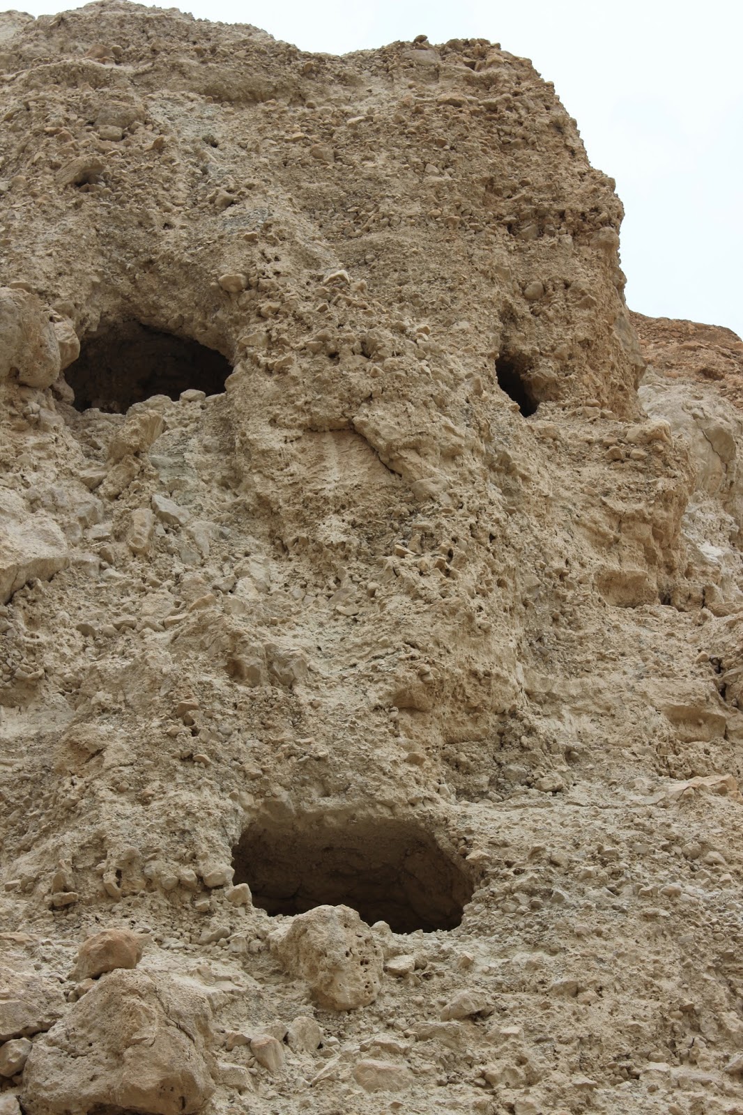 Vintage Grace: En Gedi