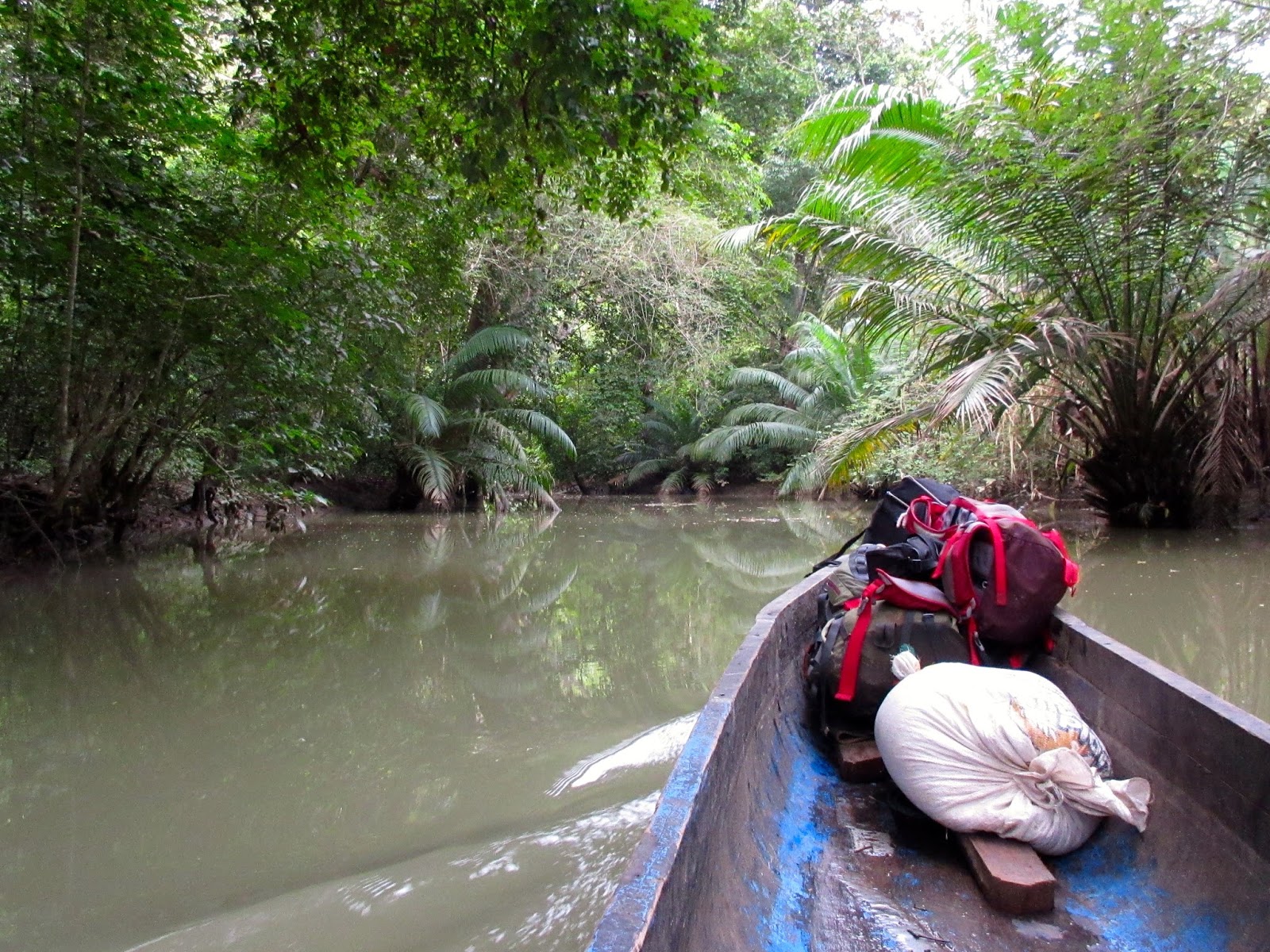 Abby Explores: Darien Part 3: The Hike to La Chunga