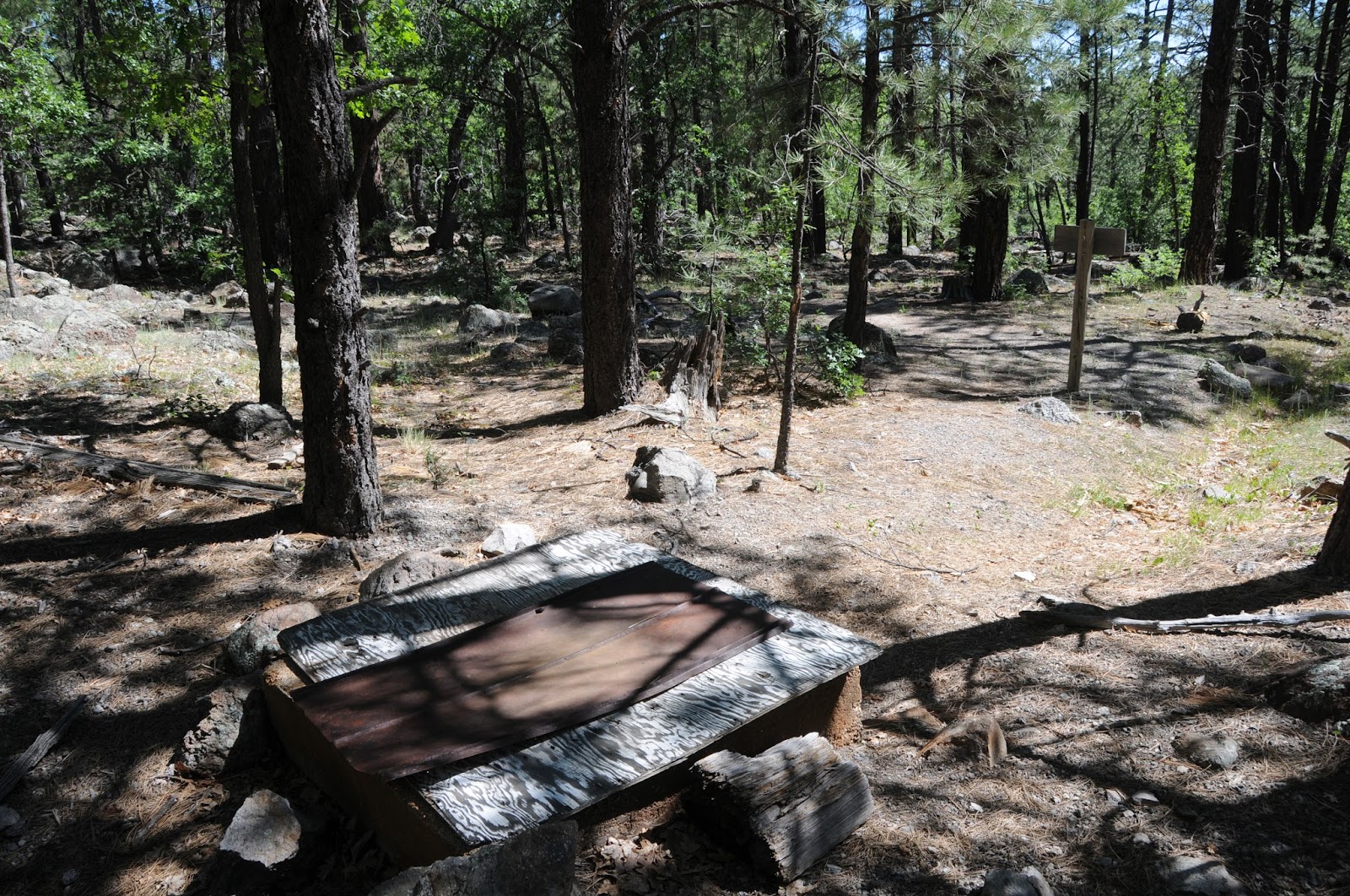 Arizona Hiking: CLOVER SPRING TRAIL # 46