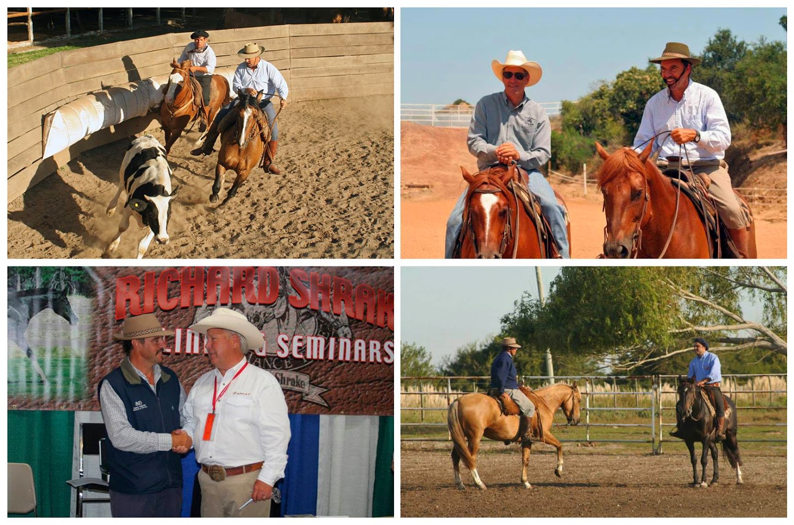 Doma Inteligente - Ignacio Sáenz Valiente - Argentine Horsemanship: La ...