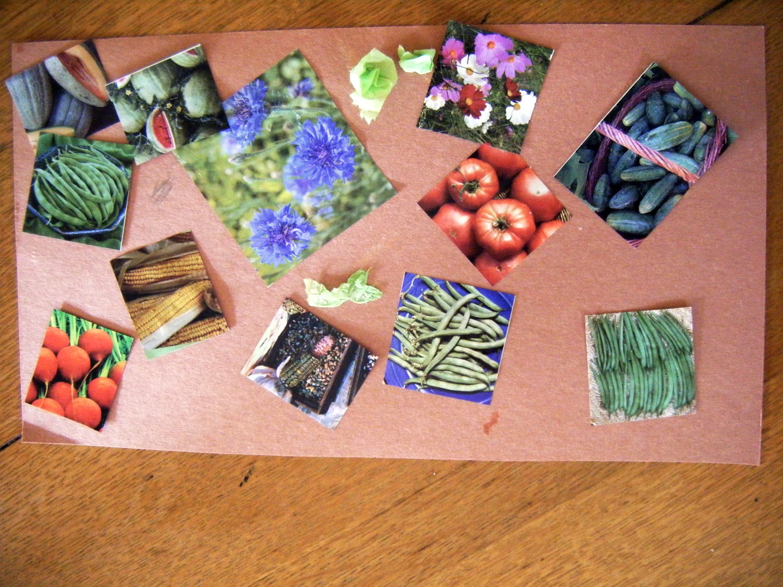 create (with kids): plant a collage - FreshlyPlanted