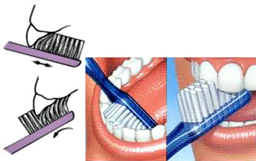 The Hygiene Department: The Guide to Proper Brushing