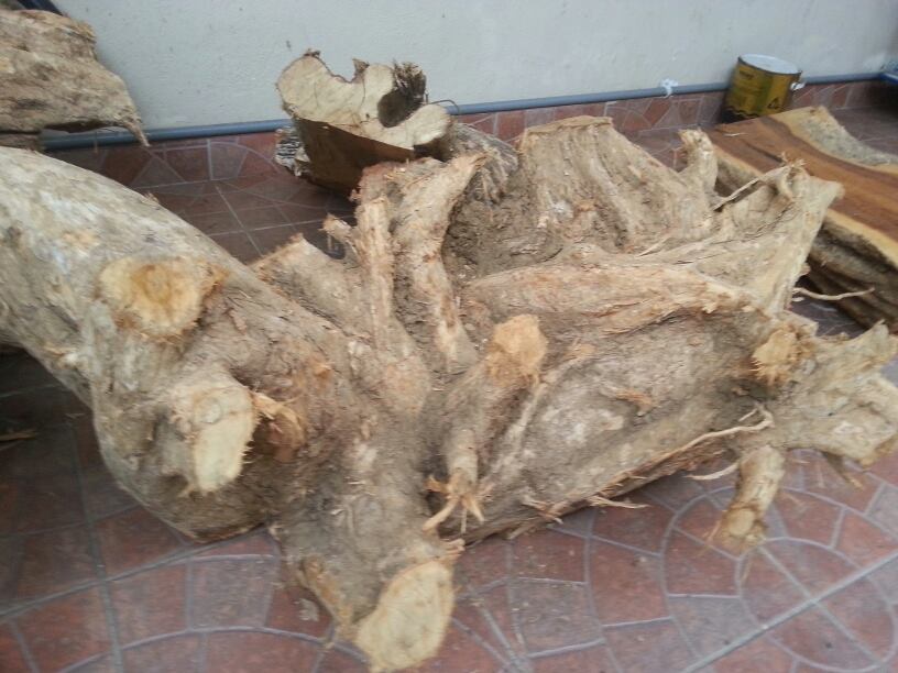 Kayu Warisan Malaysia: Kayu Kemuning emas